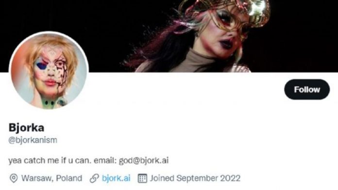 Menelusuri Arti Nama Bjorka, Hacker yang Ngaku Orang Korban